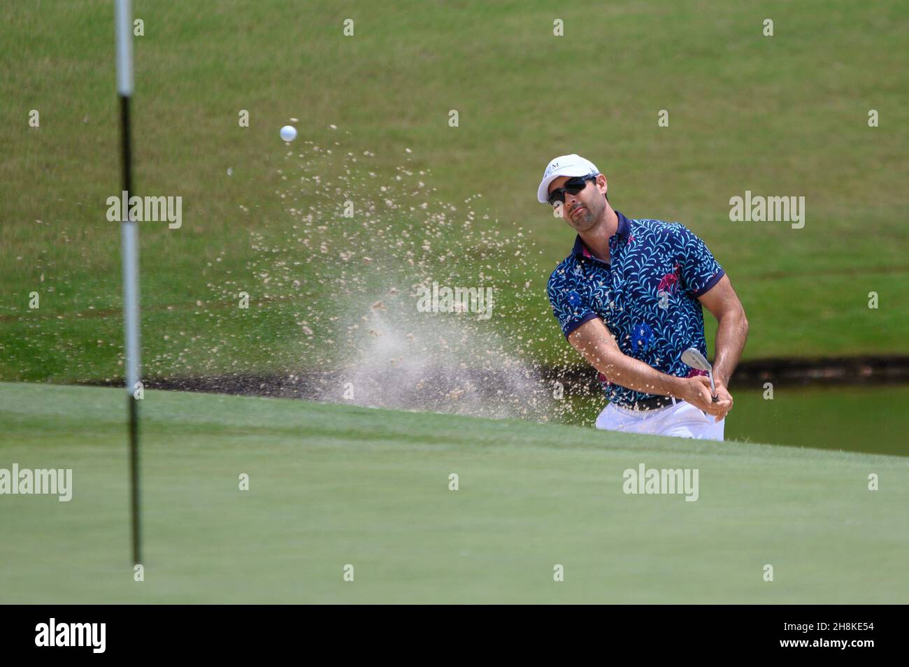 Tringale hi-res stock photography and images - Alamy