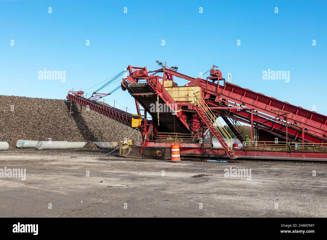 Mature sugar beets hi-res stock photography and images - Alamy