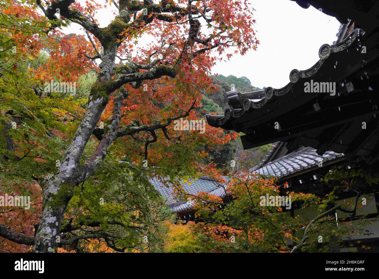 Eikando temple winter hi-res stock photography and images - Alamy