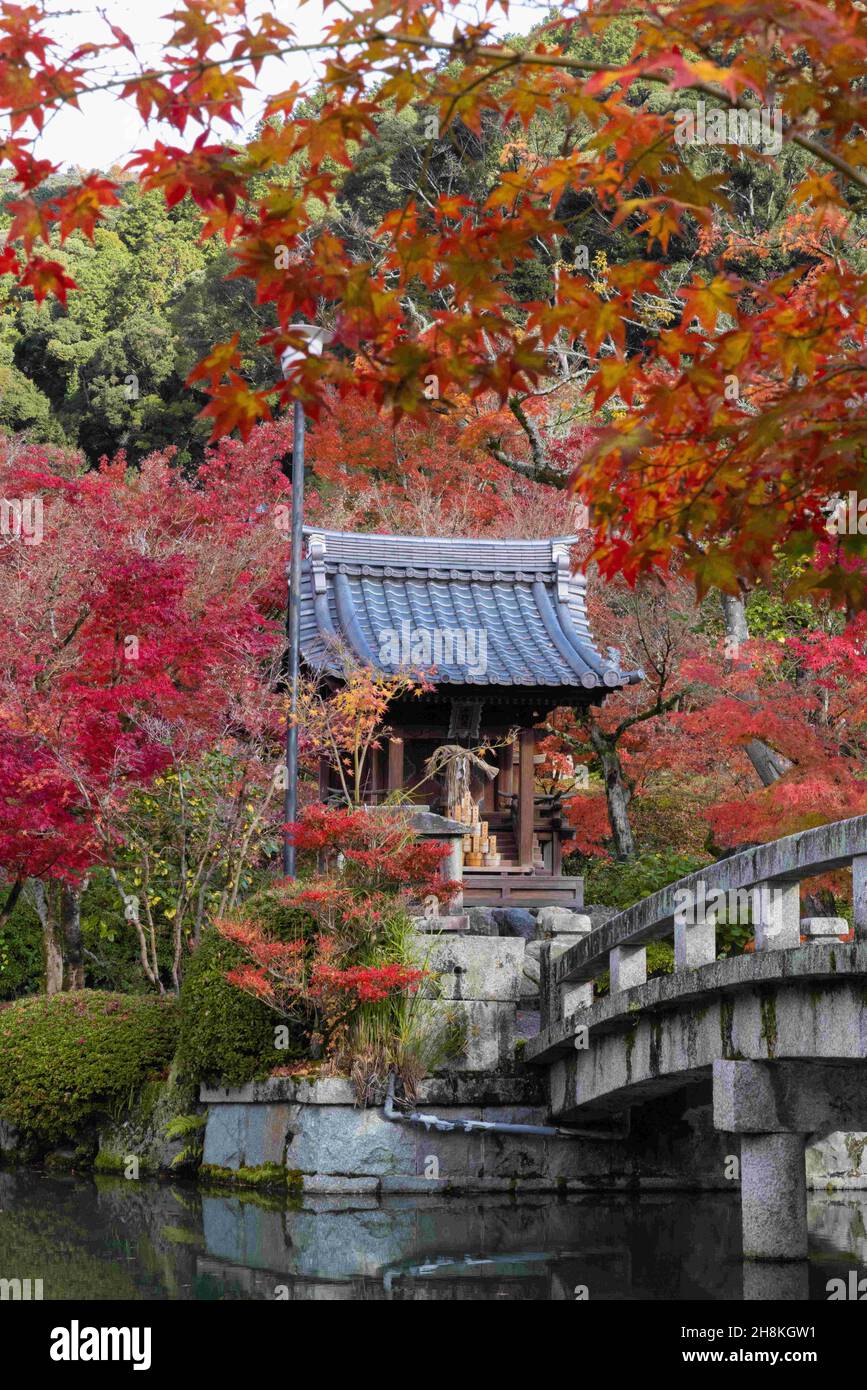 Kyoto, Japan. 27th Nov, 2021. Benten shrine surrounded by autumn ...