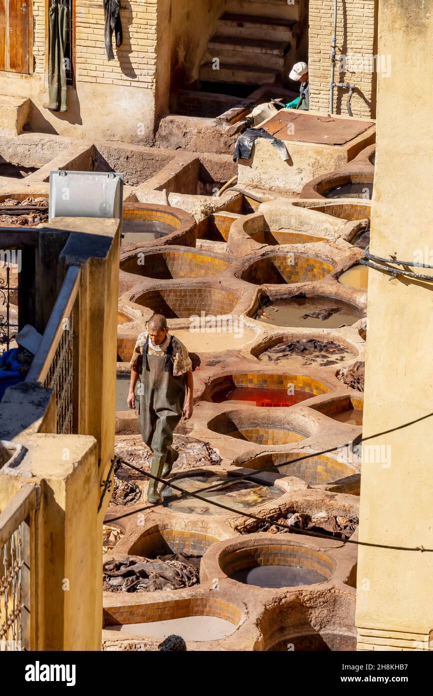 November 7, 2021, Medina of Fez, Fes, USA: Dye reservoirs and vats in ...