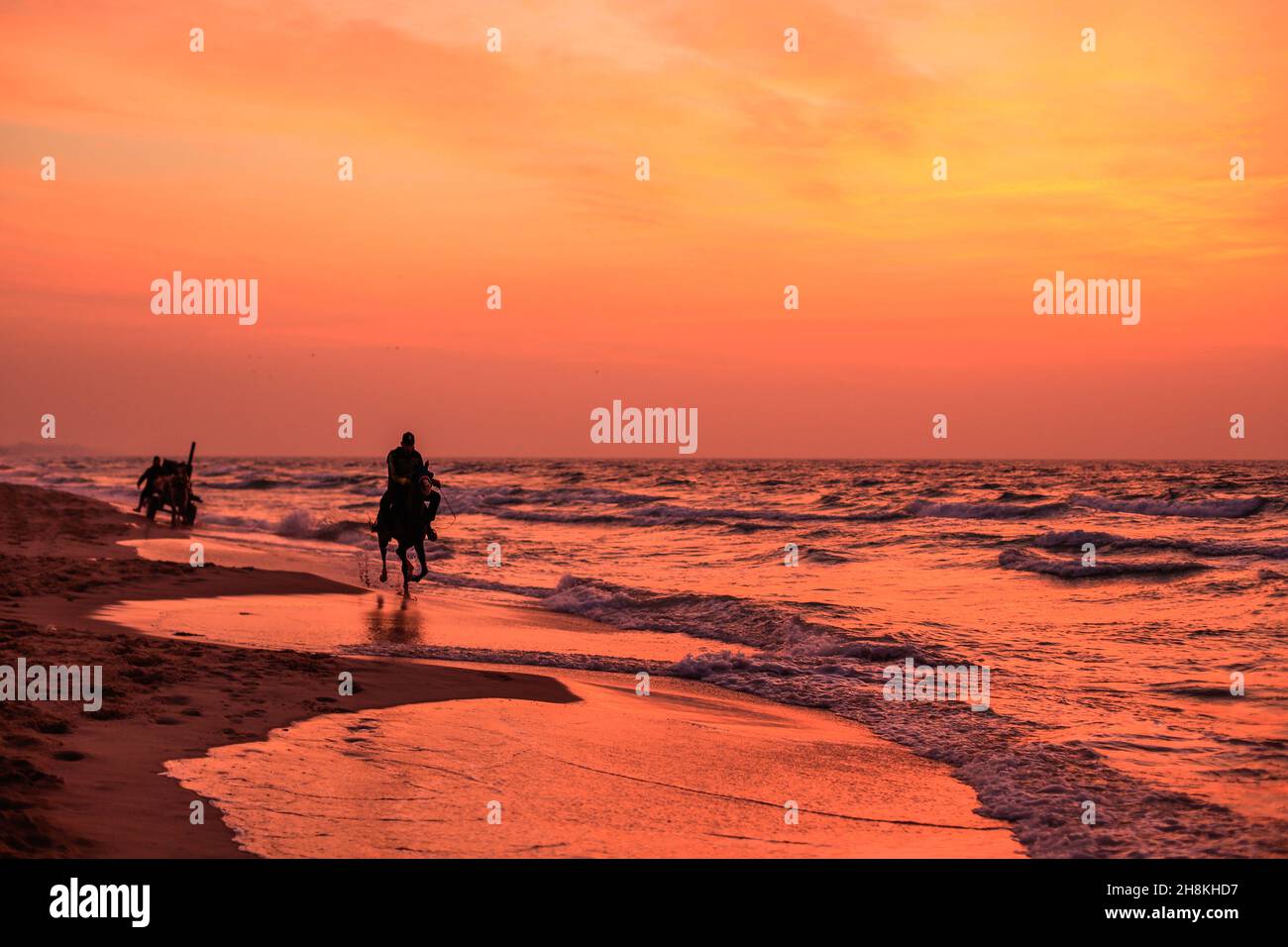 Gaza, Palestine. 30th Nov, 2021. A Palestinian rides a horse off the ...