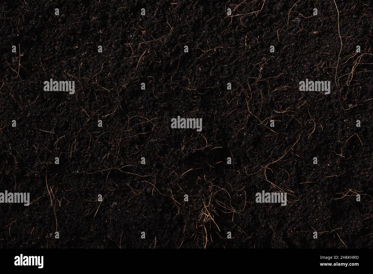 Black land for plant background, Top view of Fresh soil with mulch for ...