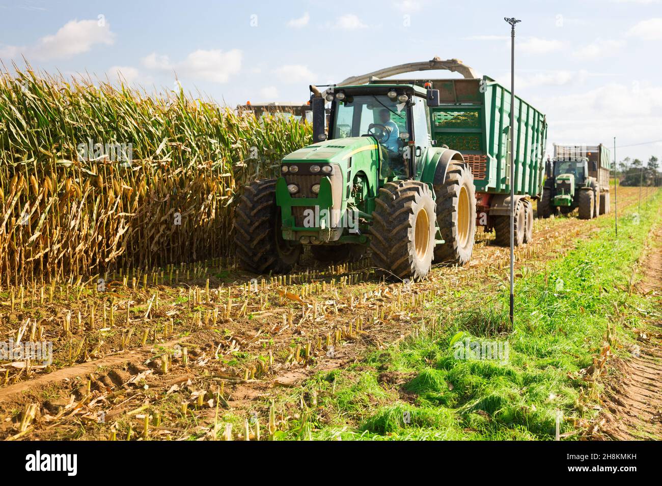 Agricultural machinery produces harvesting of maize Stock Photo - Alamy