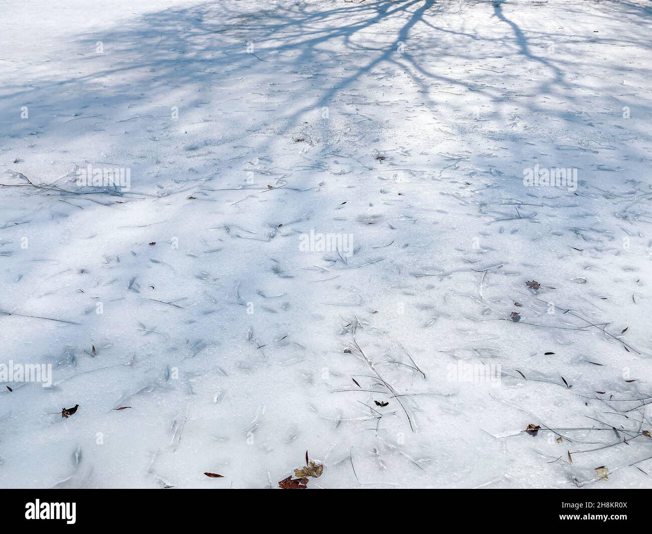 frozen lake scenery with melting ice and shadow of tree in sunny winter ...