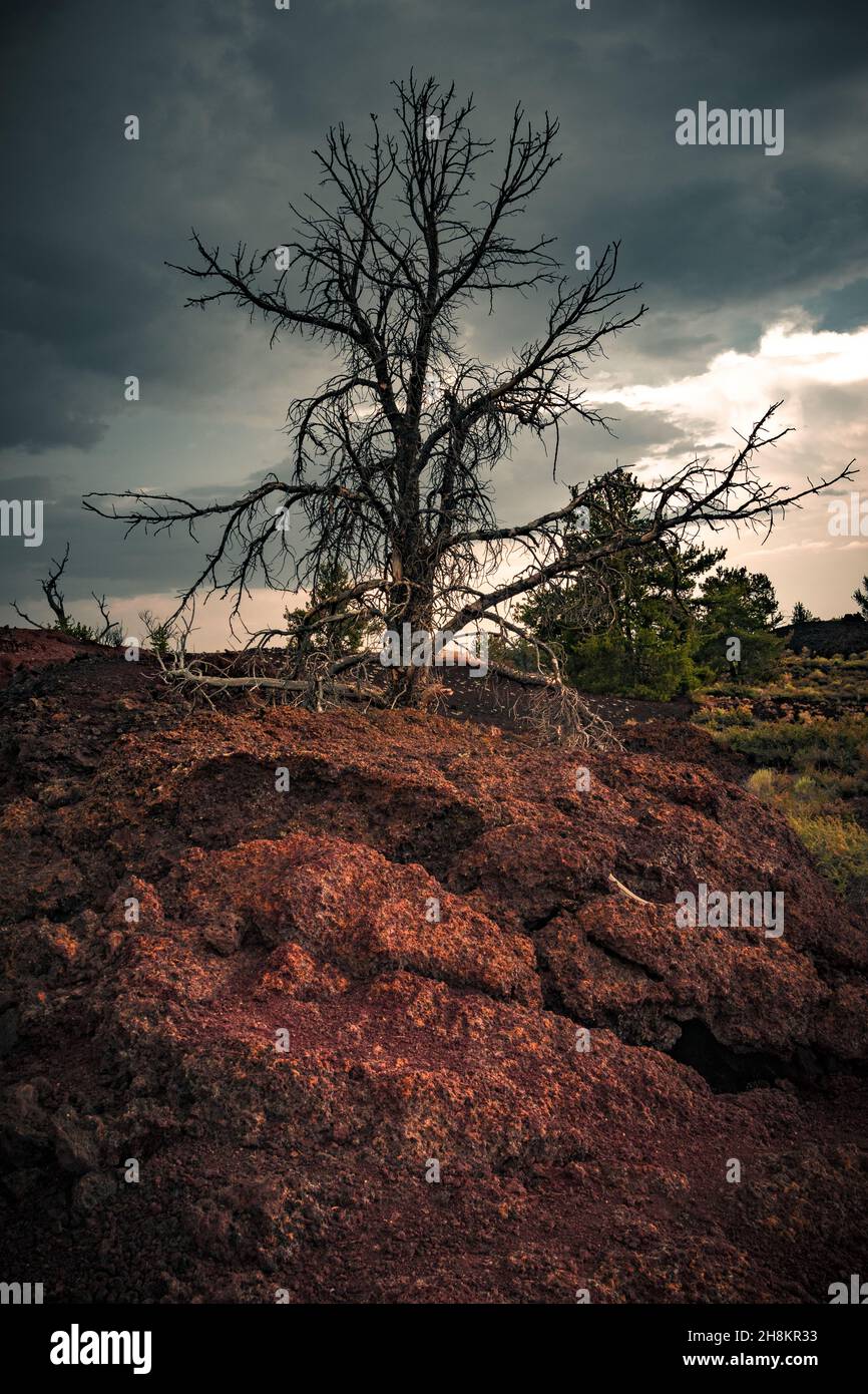 Burnout fabric hi-res stock photography and images - Alamy