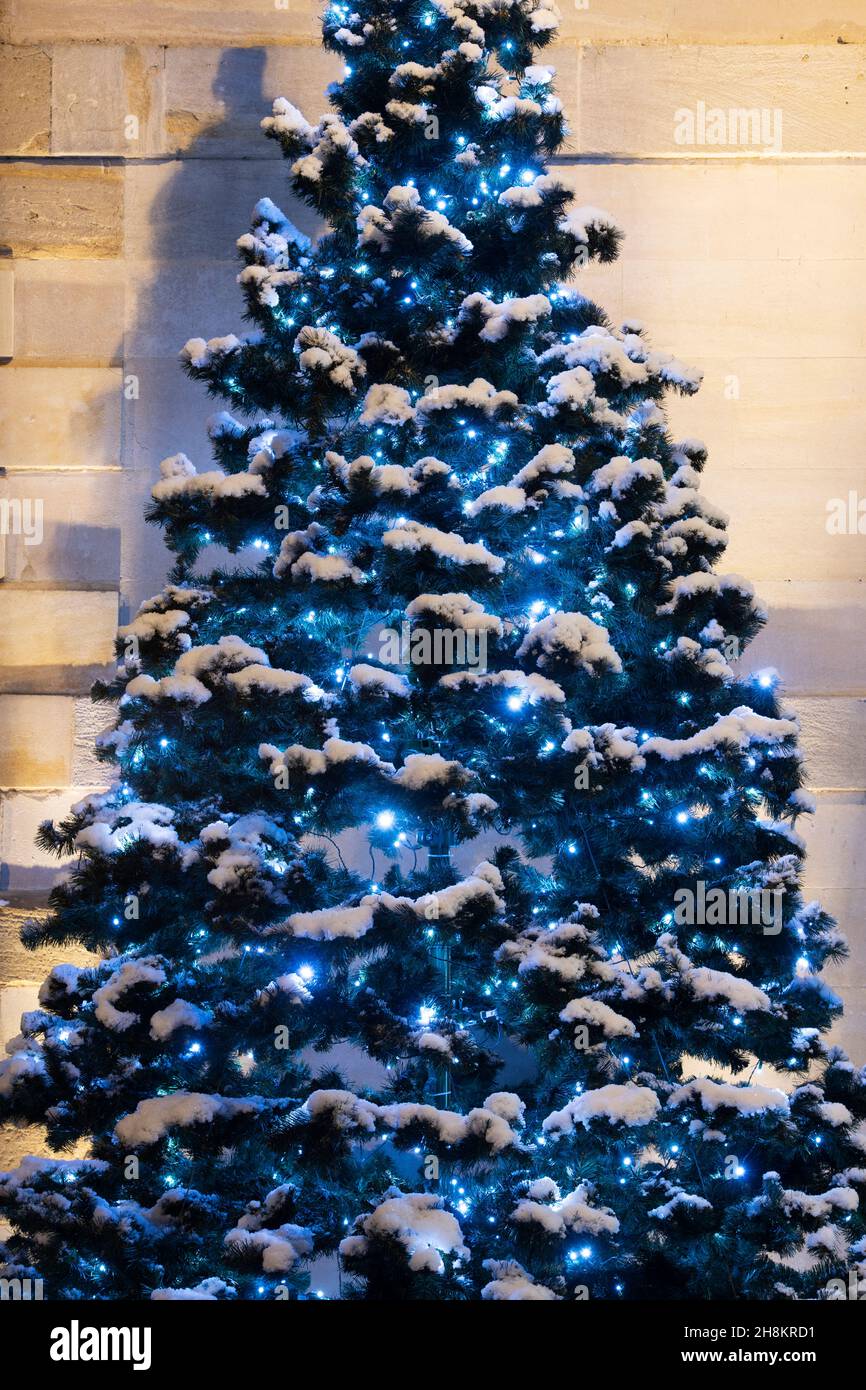 Artificial light tree hi-res stock photography and images - Alamy