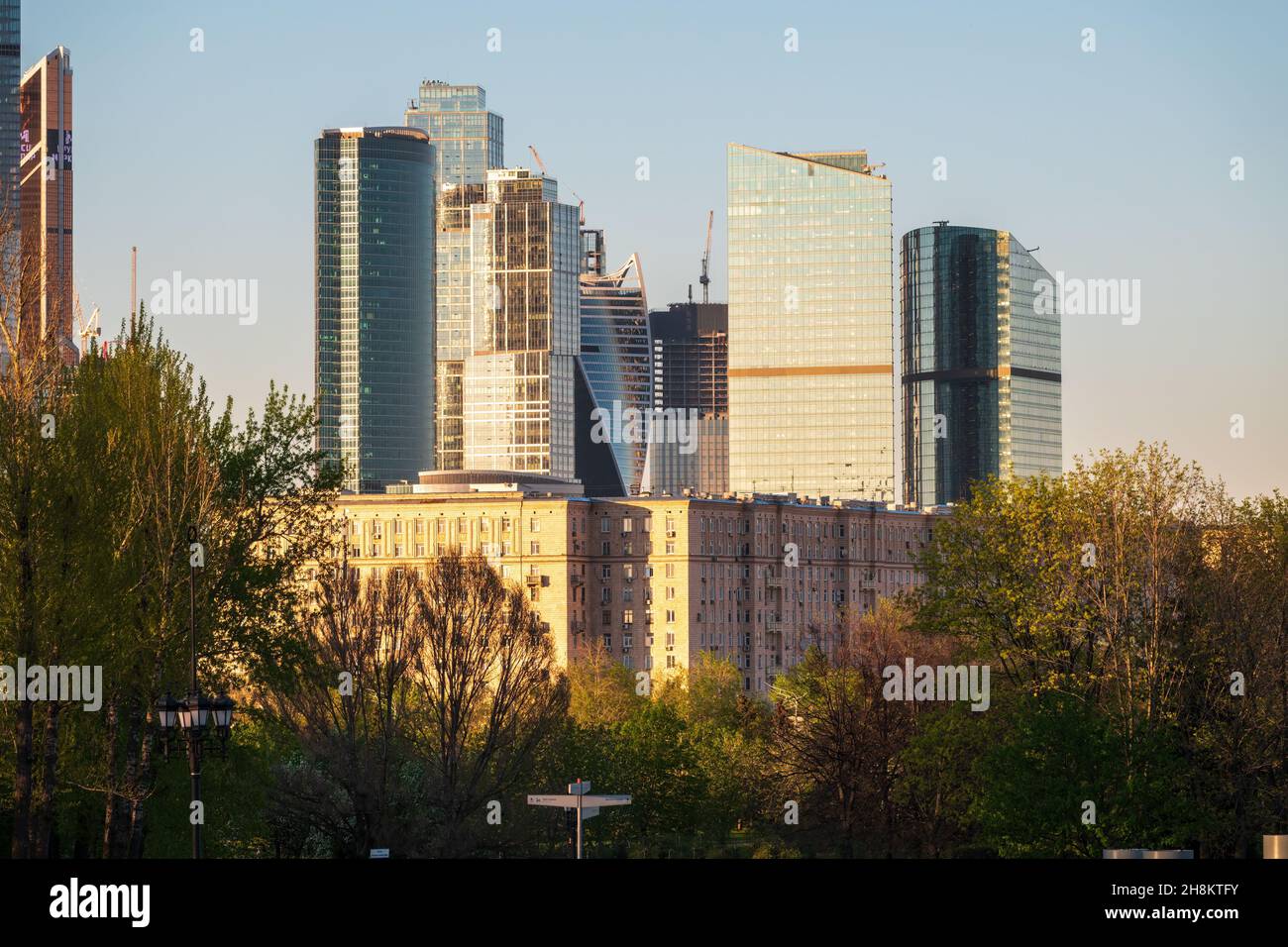 Green trees on background modern skyscrapers in the Moscow city ...