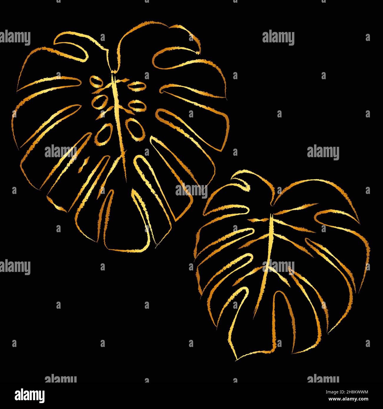 monstera golden deliciosa king borsigiana gold leaf leaves hand drawing ...