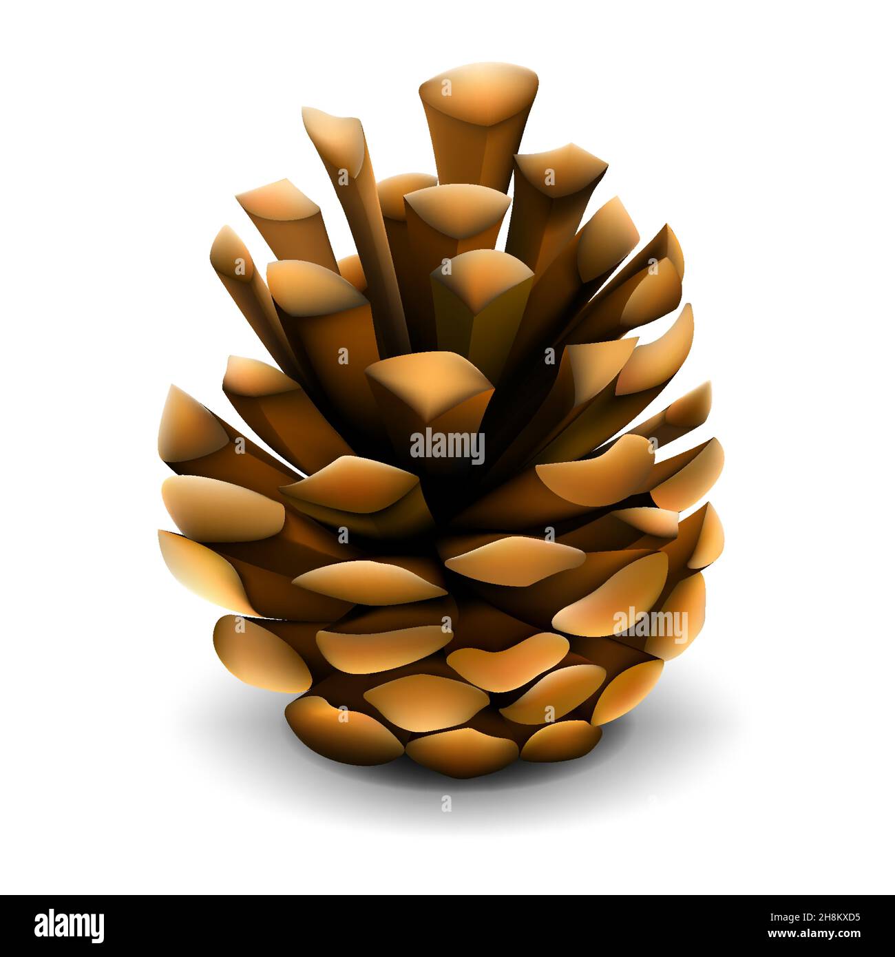 Pine cone with shadow vector realistic illustration Stock Vector Image ...