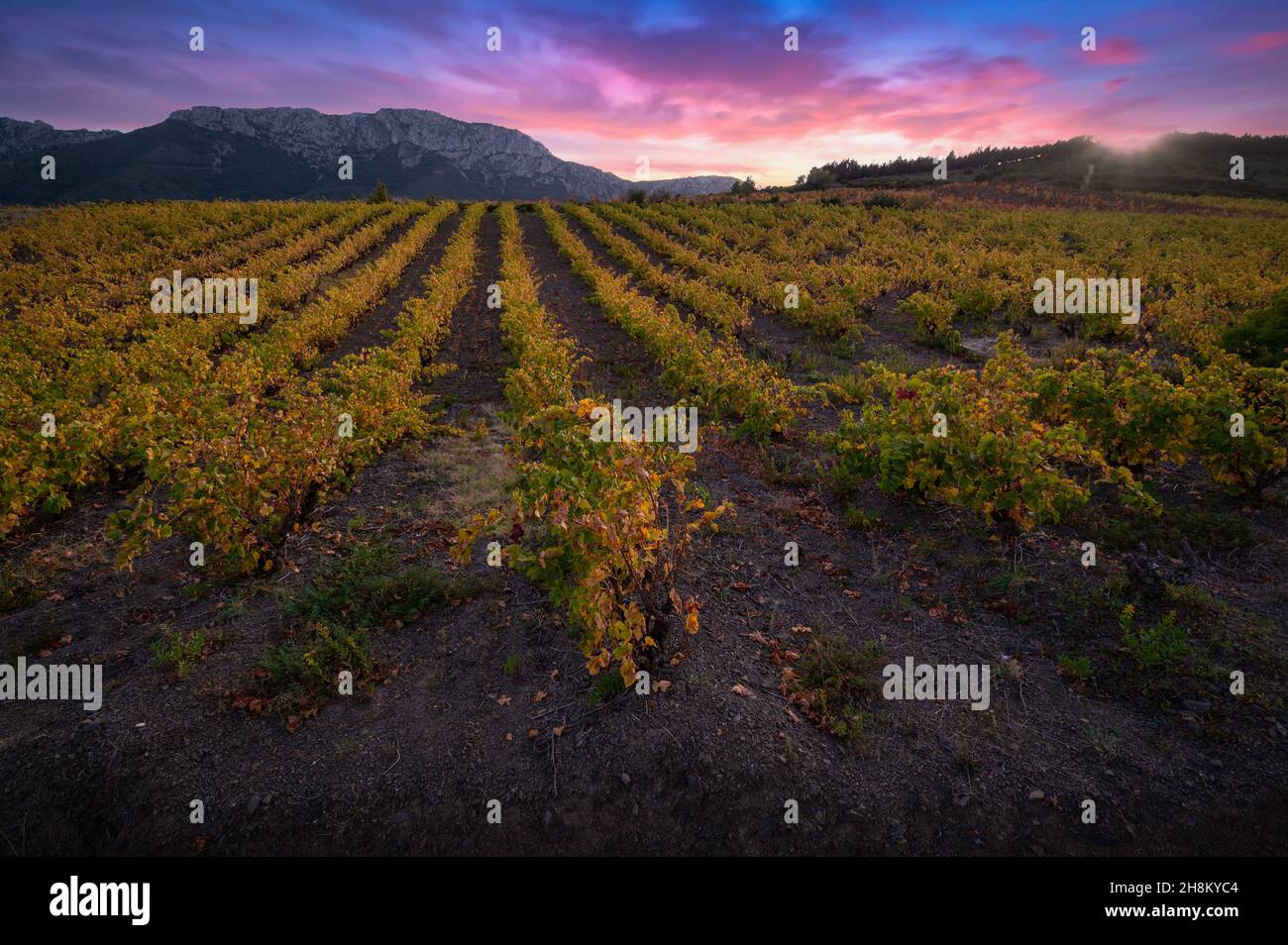Maury aoc hi-res stock photography and images - Alamy