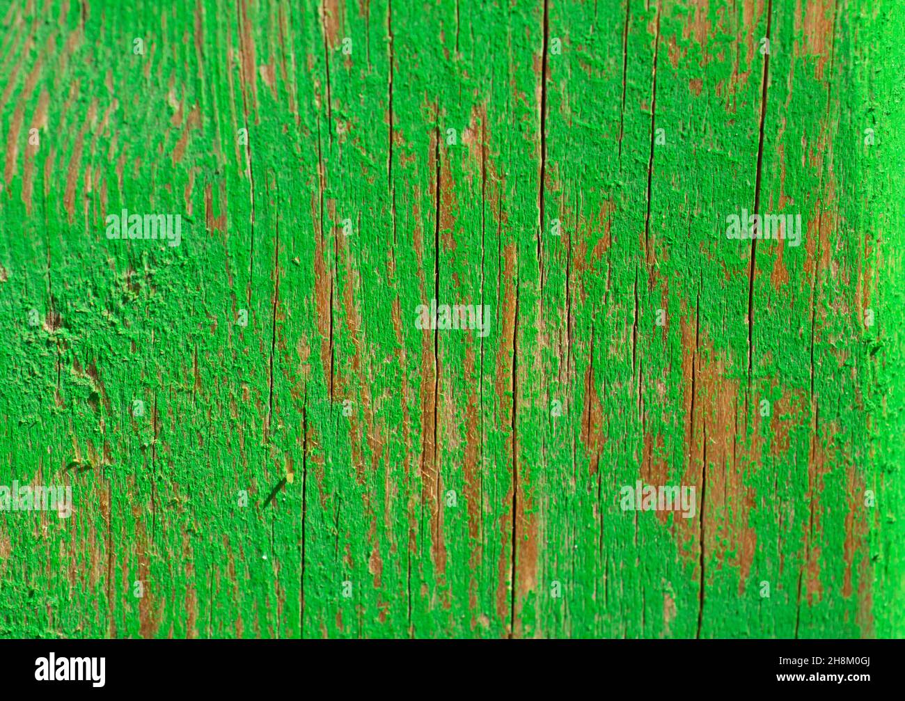 Timber background of wood texture. Abstract wood background Stock Photo ...