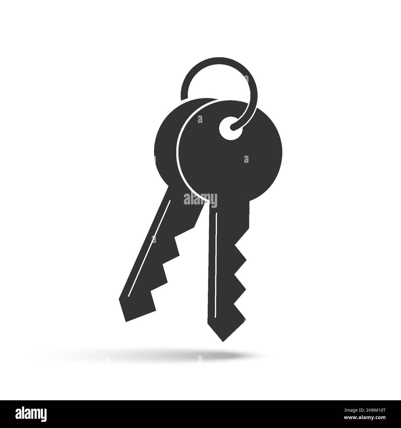 Gray two Keys with shadow vector icon Stock Vector Image & Art - Alamy