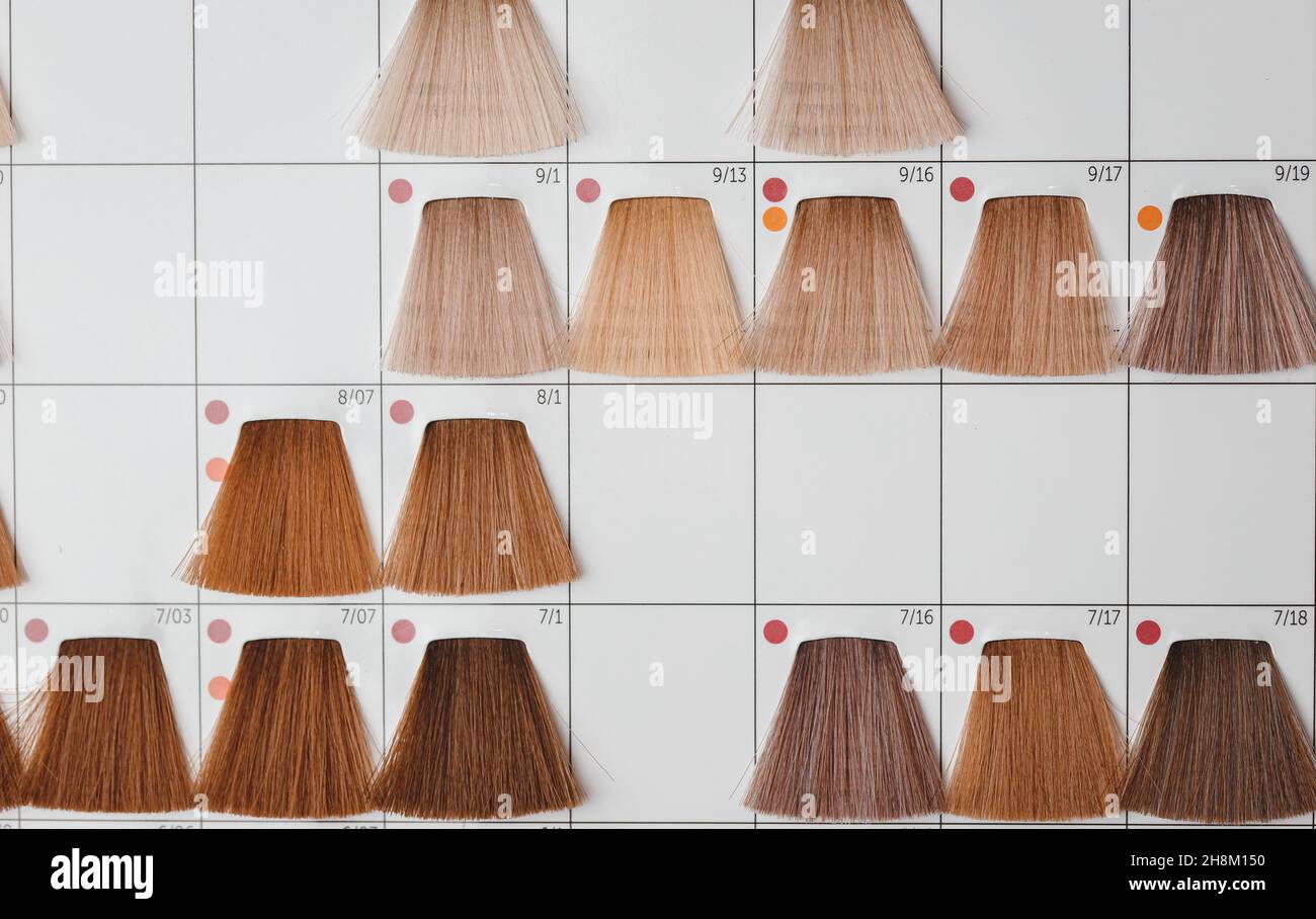 Set hair brunette tints colors palette on hairdresser background Stock ...