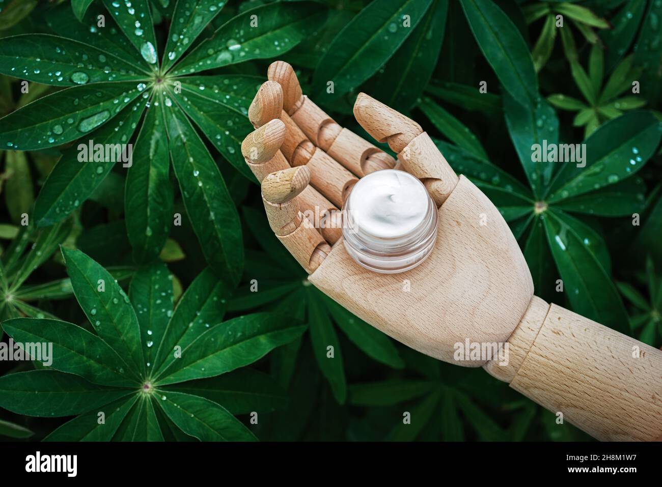 Natural cosmetics, cream from wooden hand, background green plants ...