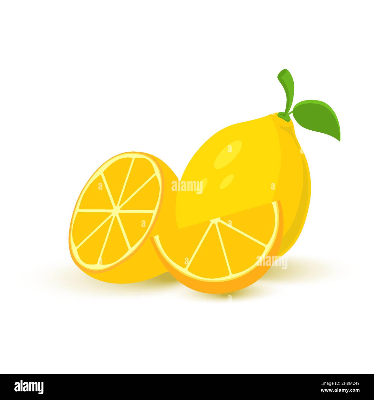 Vector lemon. Fresh lemon fruits, collection of vector illustrations ...