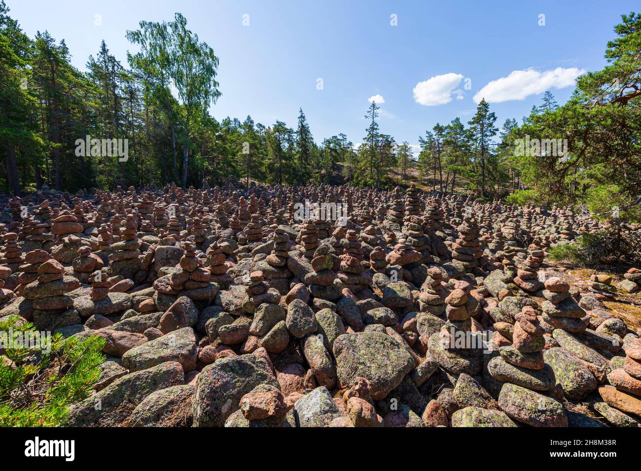 Forest full of rock formations, myriad piles of stones, along the ...
