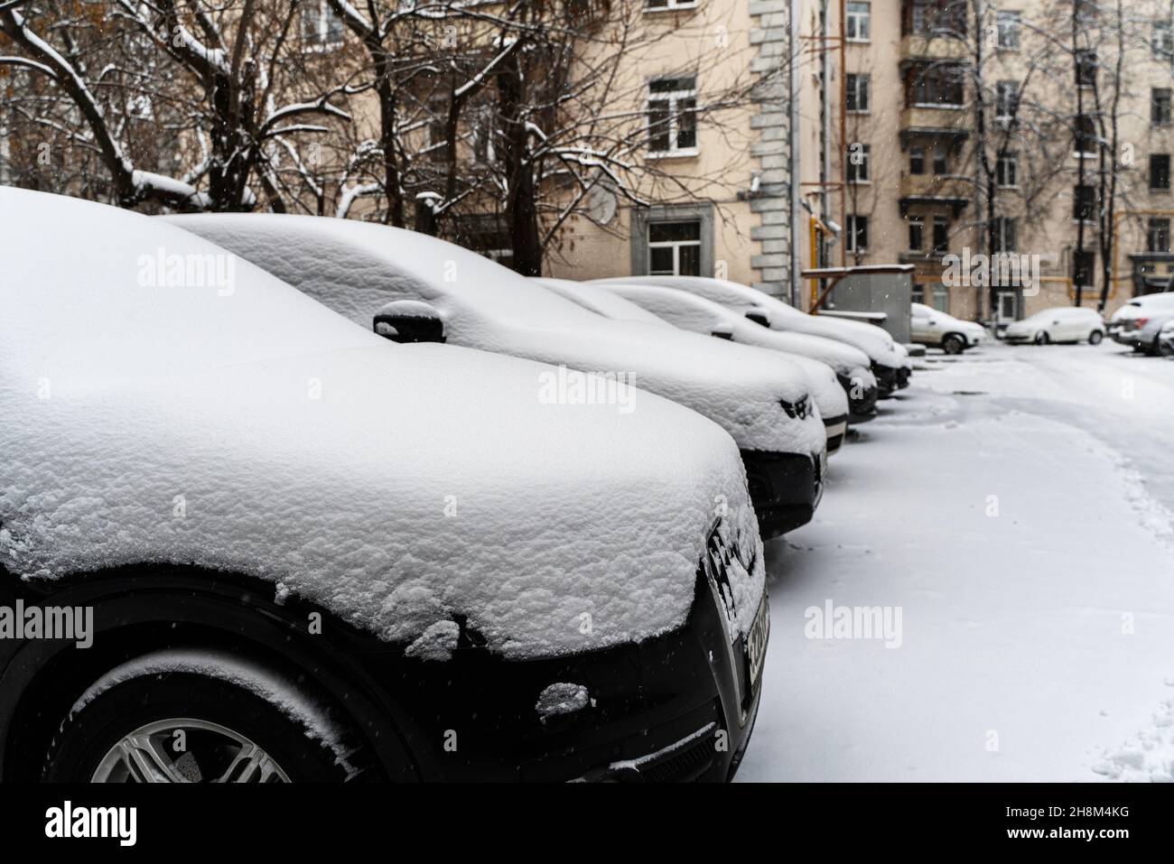 Deep Snow In Russia