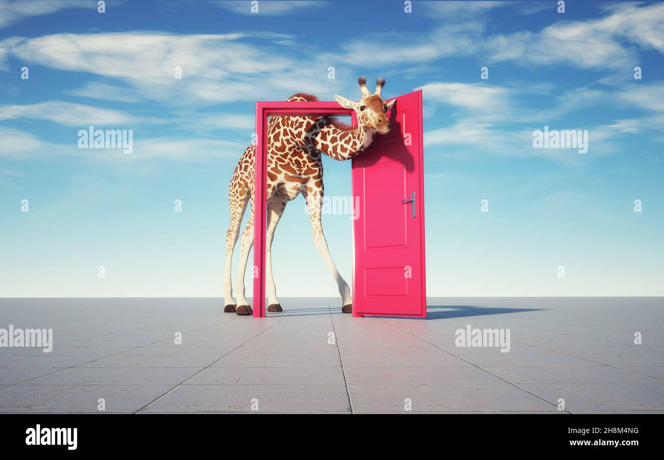 Giraffe doorway hi-res stock photography and images - Alamy