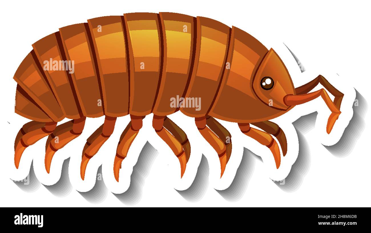 Isopod animal cartoon sticker illustration Stock Vector Image & Art - Alamy
