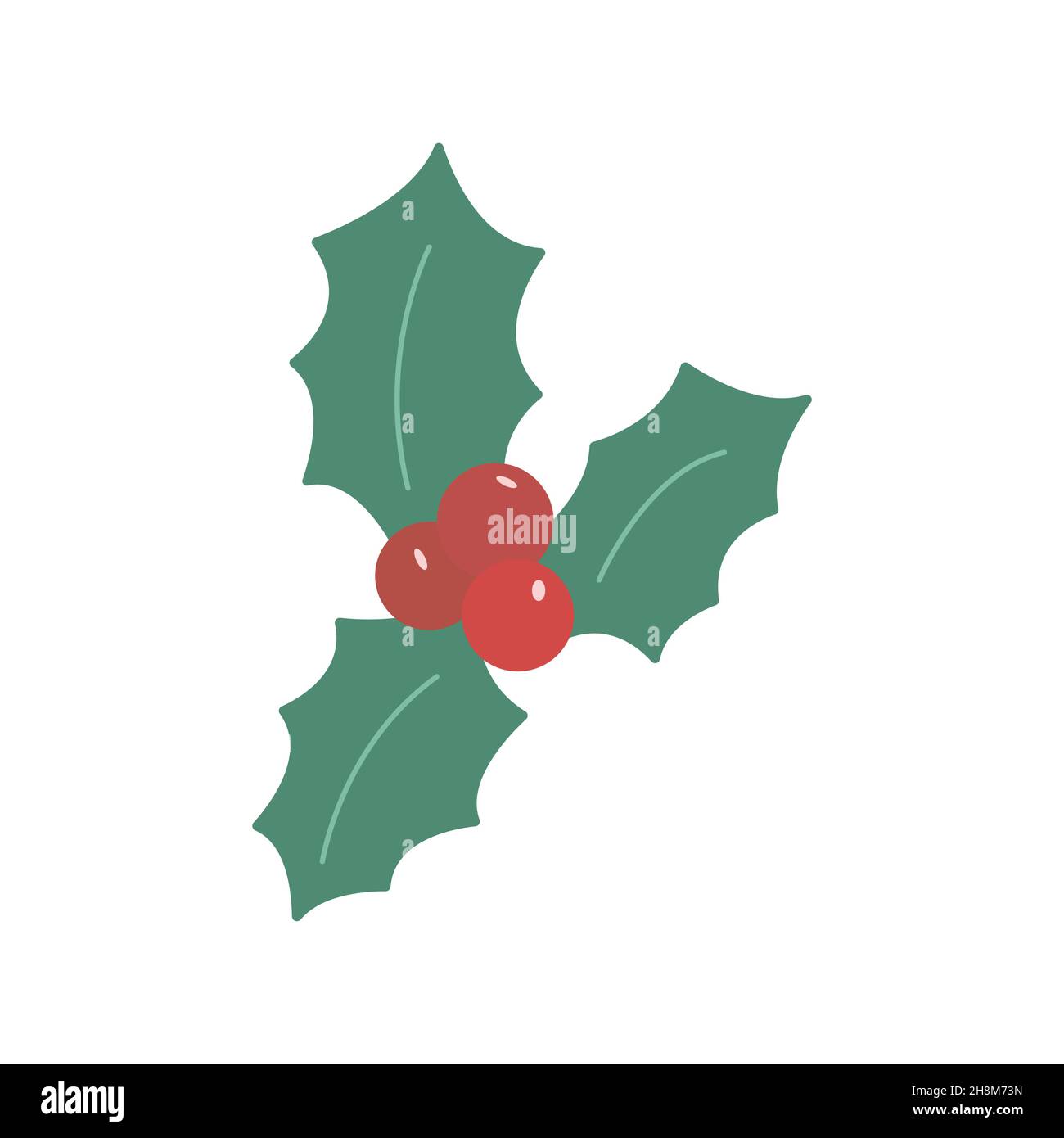 Holly leaves with berries. Christmas and New Year symbol. Colorful ...