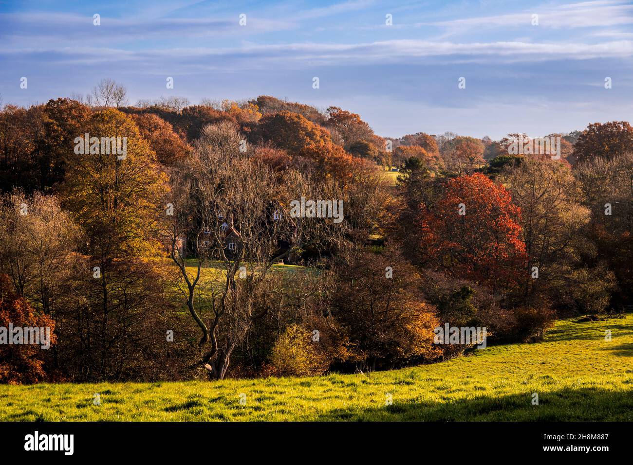 Dallington church hi-res stock photography and images - Alamy