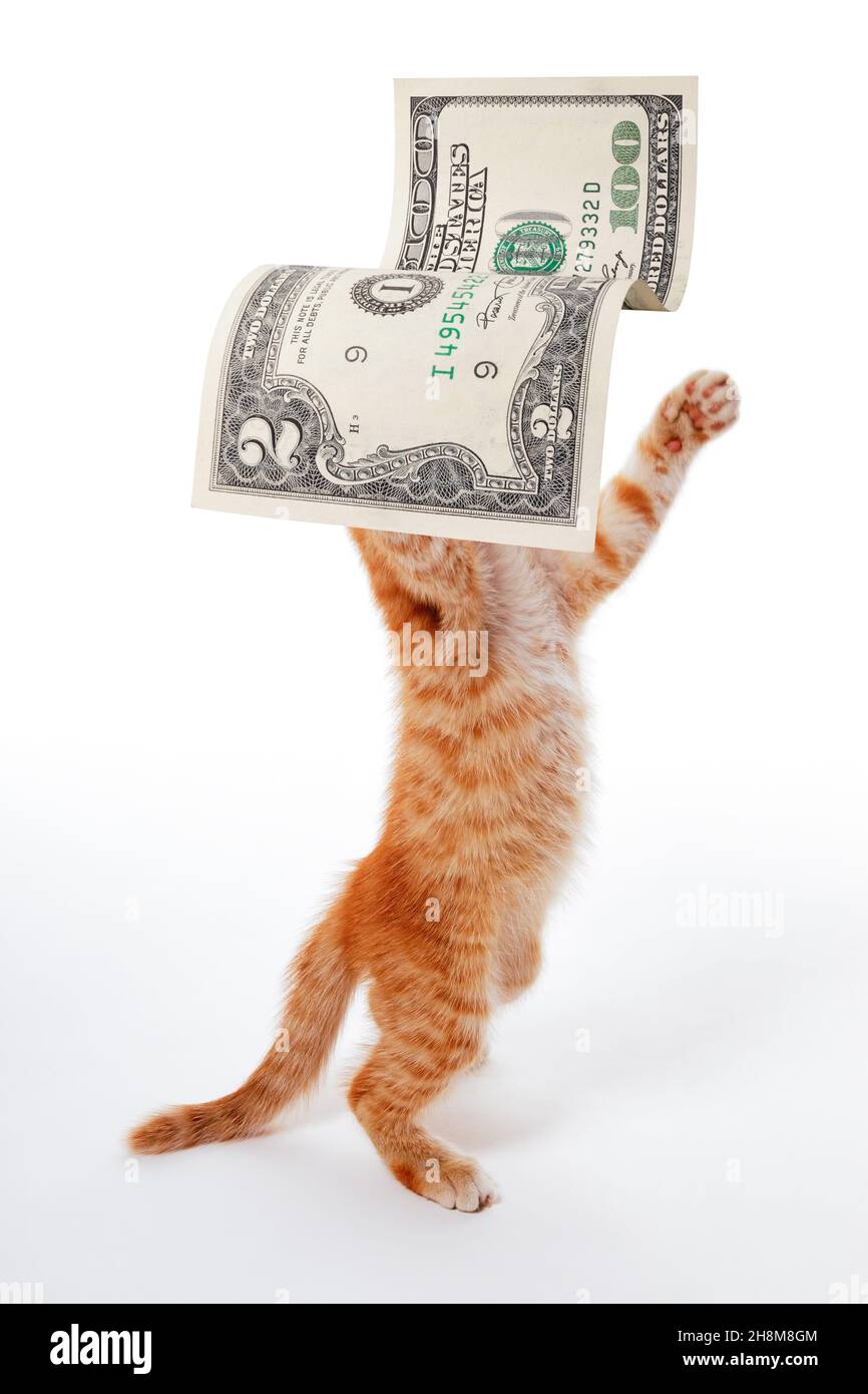 Money concepts hi-res stock photography and images - Alamy