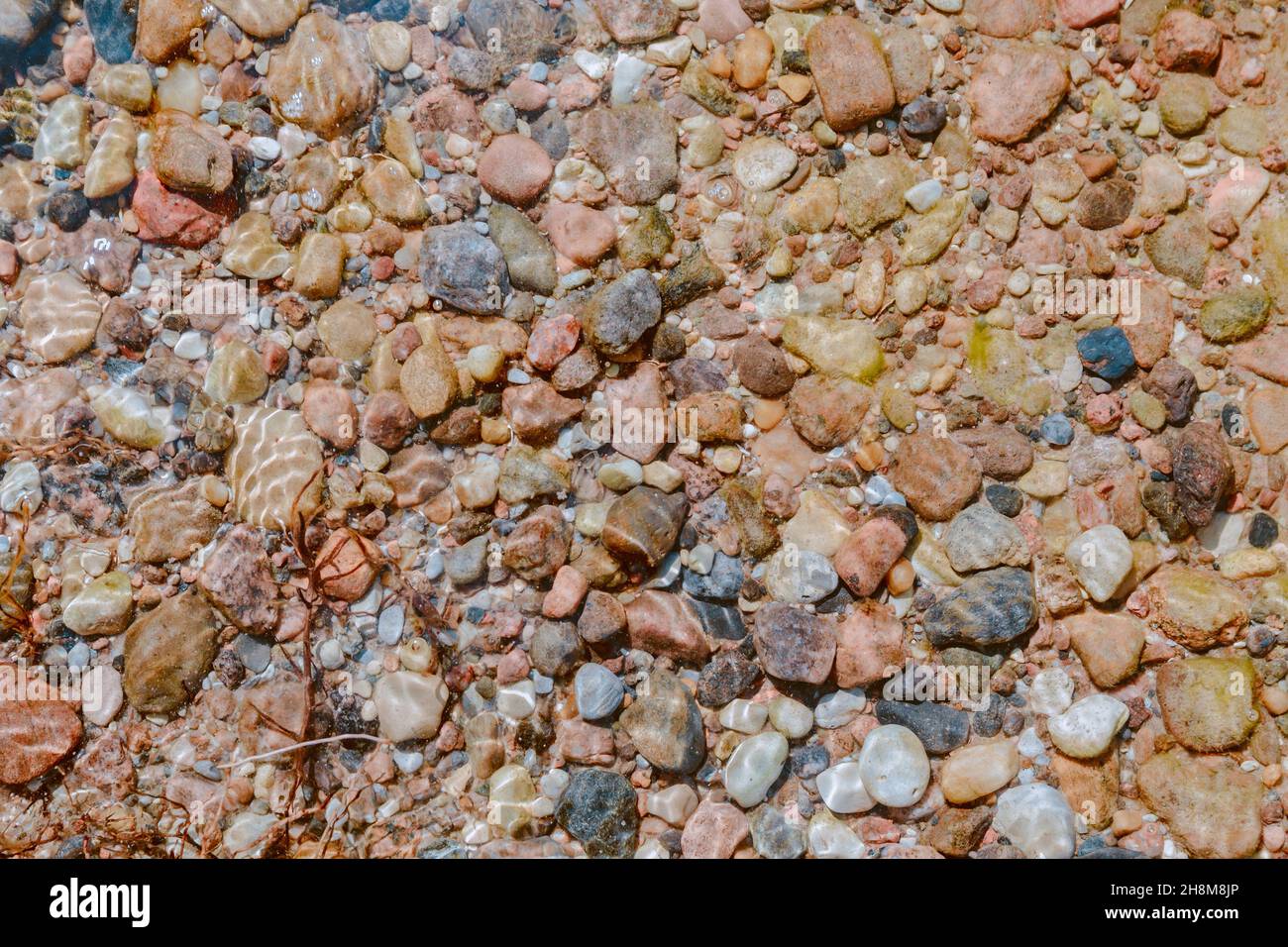 Multicolored small pebbles at the bottom of the lake under clear water ...