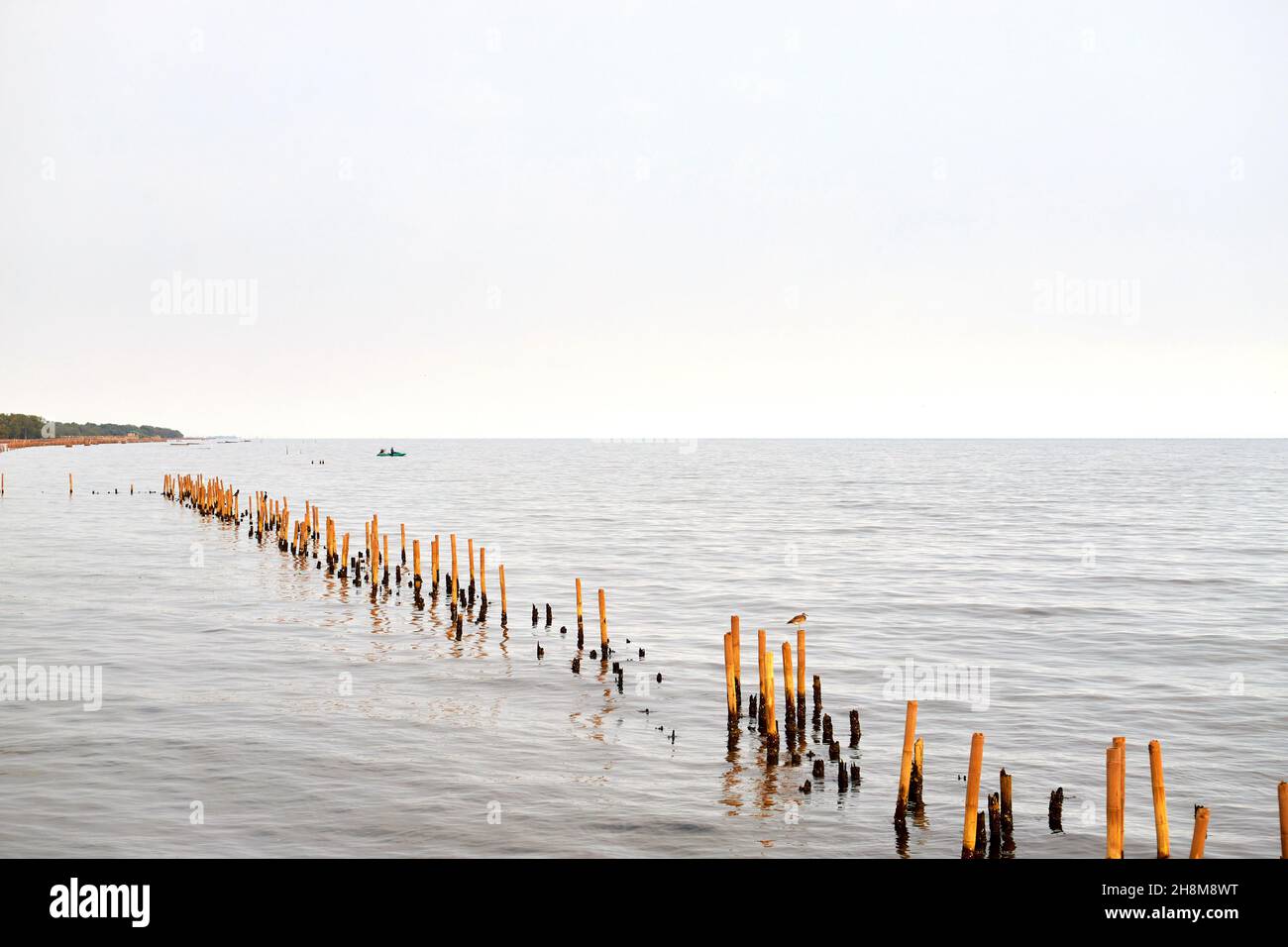 Bamboo post in the sea Stock Photo - Alamy
