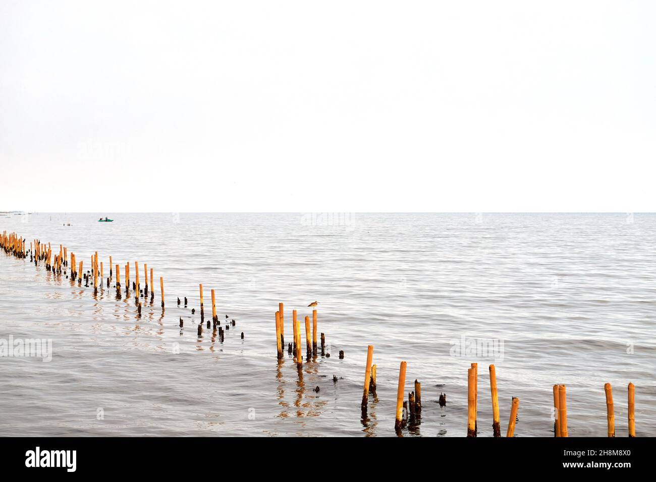 Bamboo post in the sea Stock Photo - Alamy