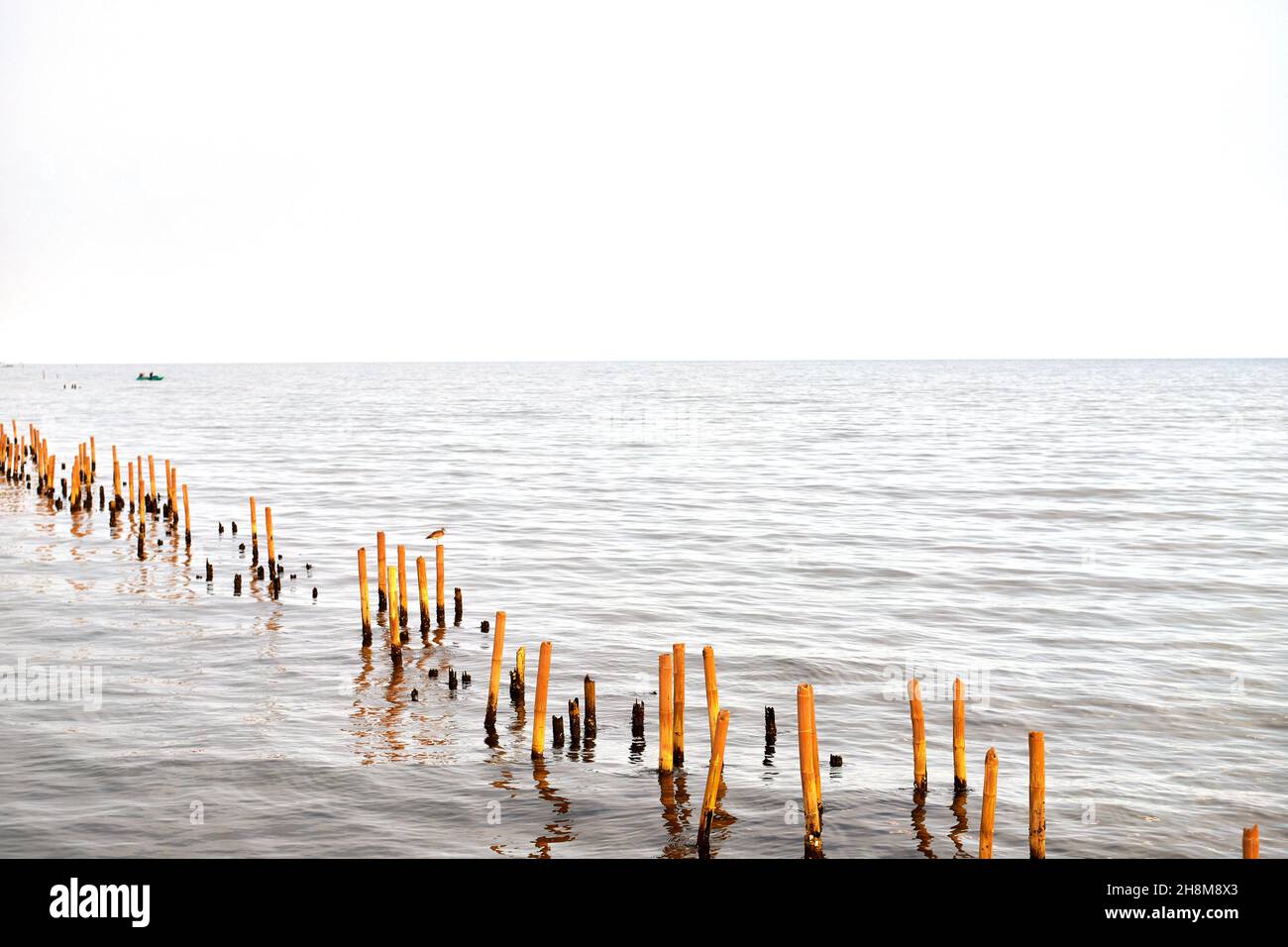 Bamboo post in the sea Stock Photo - Alamy