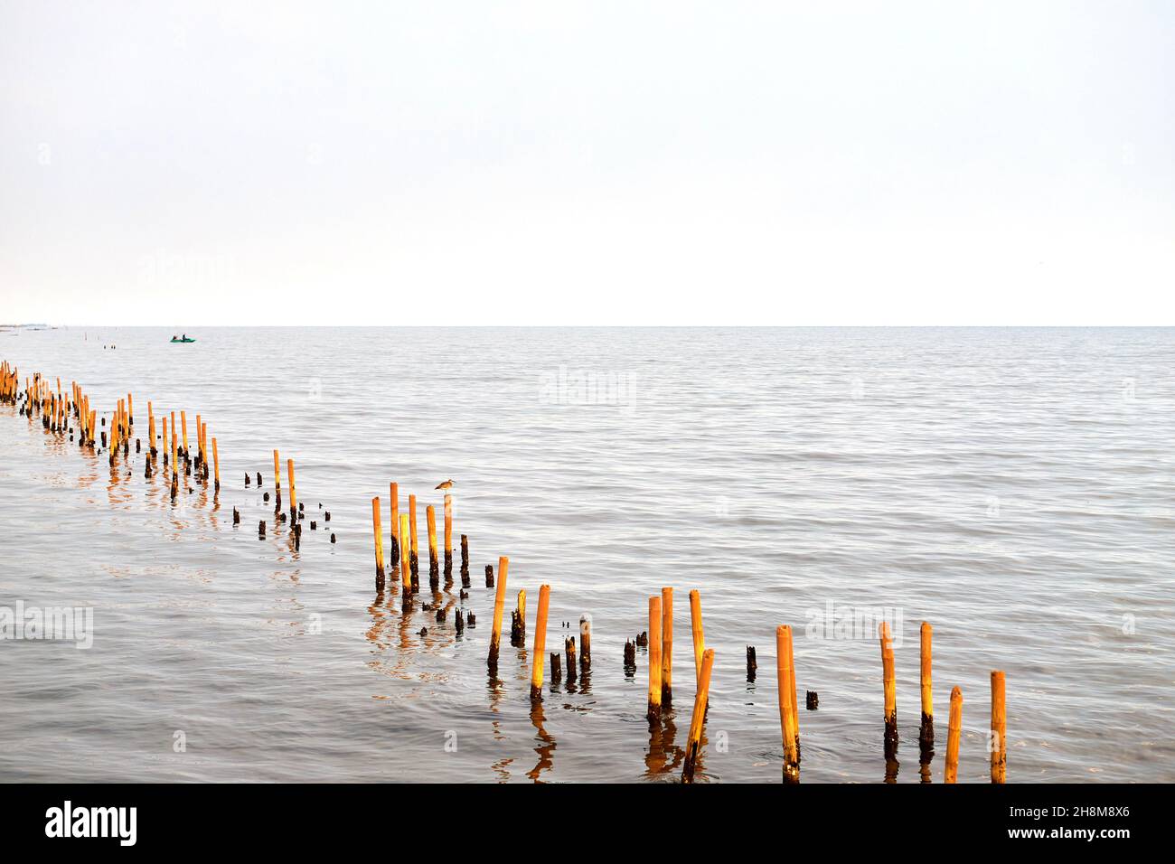 Bamboo post in the sea Stock Photo - Alamy