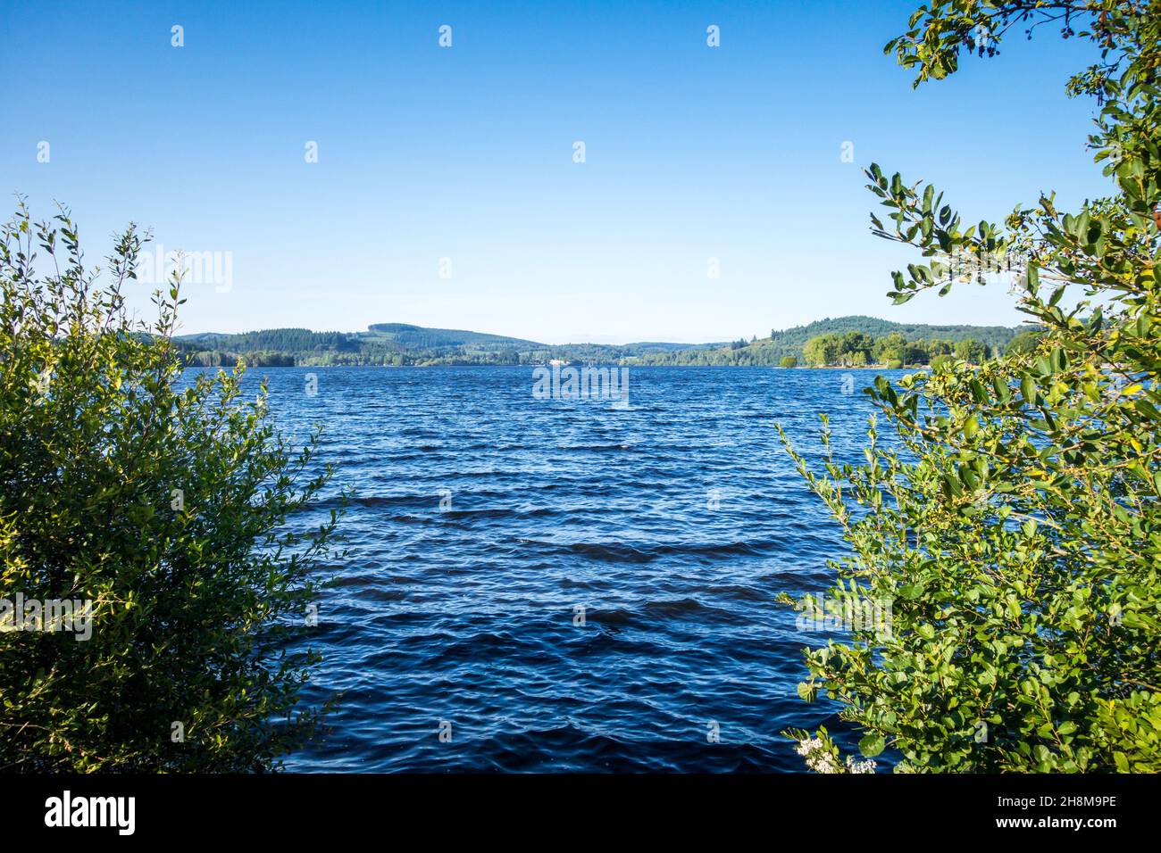 Lake of Vassiviere field and forest, Limousin, France Stock Photo - Alamy