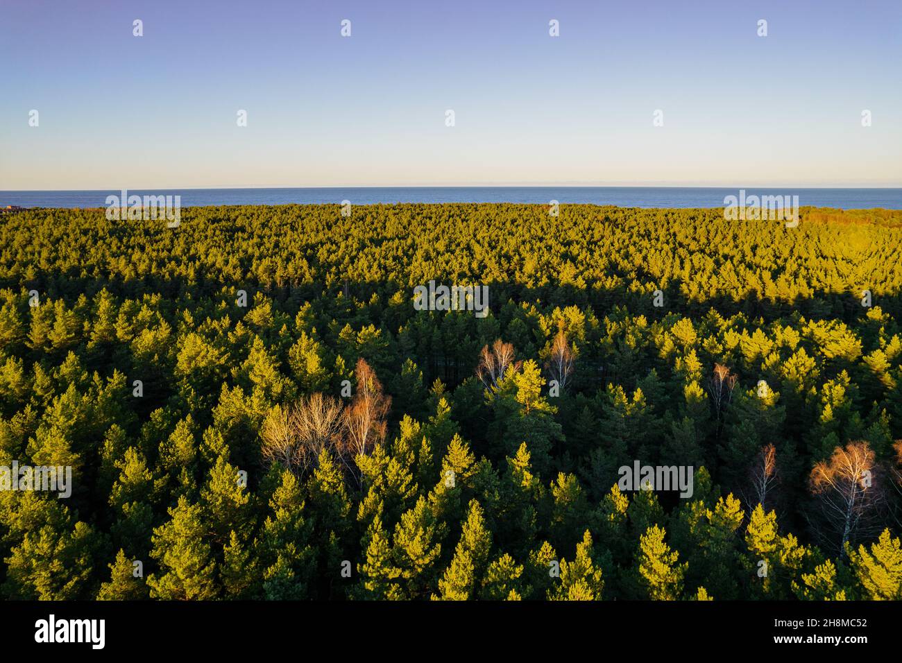 Path in treetops hi-res stock photography and images - Alamy