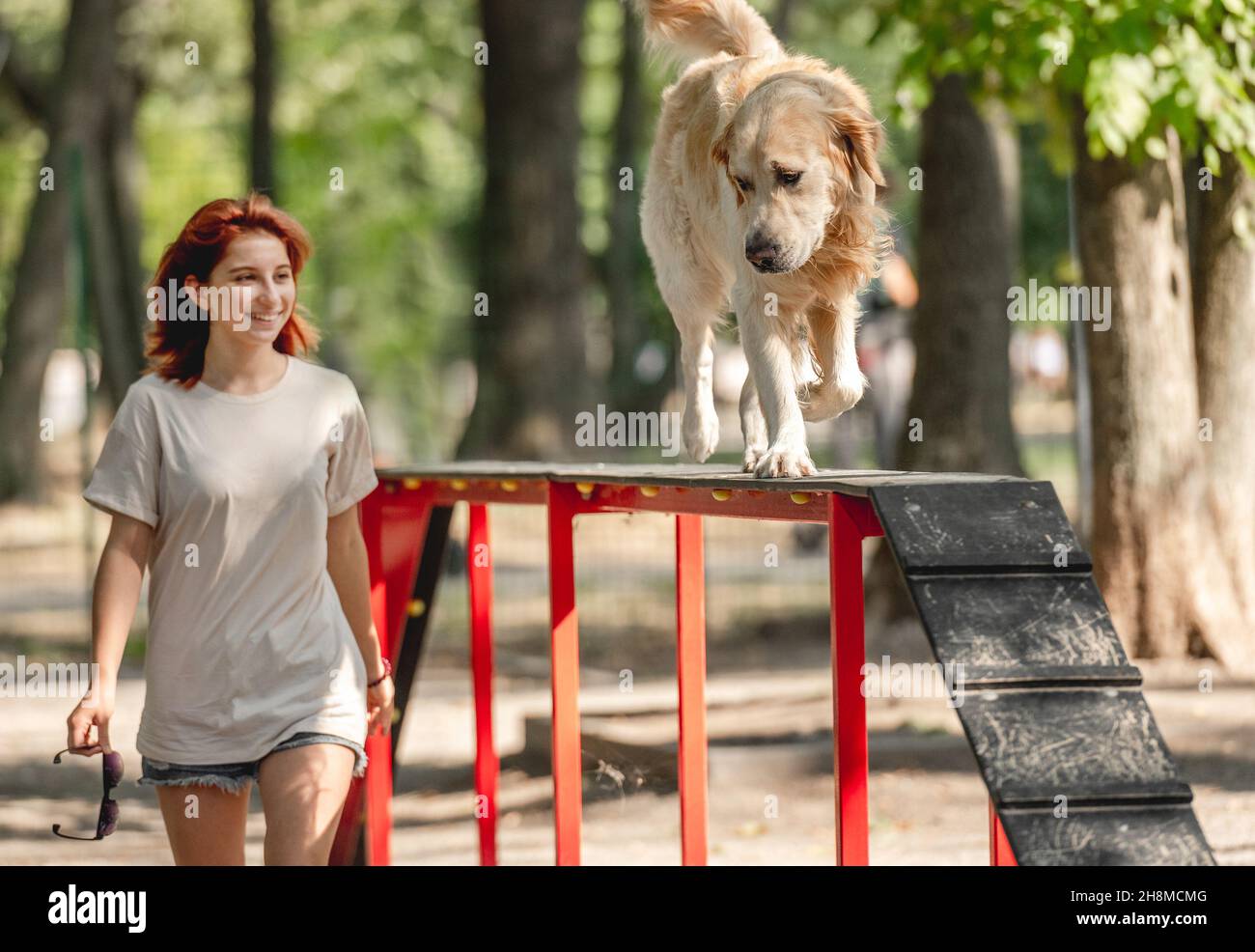 Girl dog training hi-res stock photography and images - Alamy