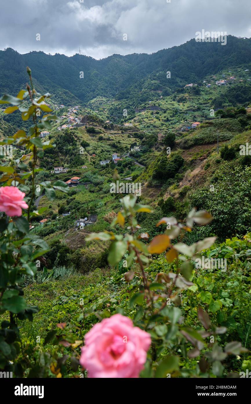 Porto da Cruz Village, north side of Madeira Island Stock Photo - Alamy