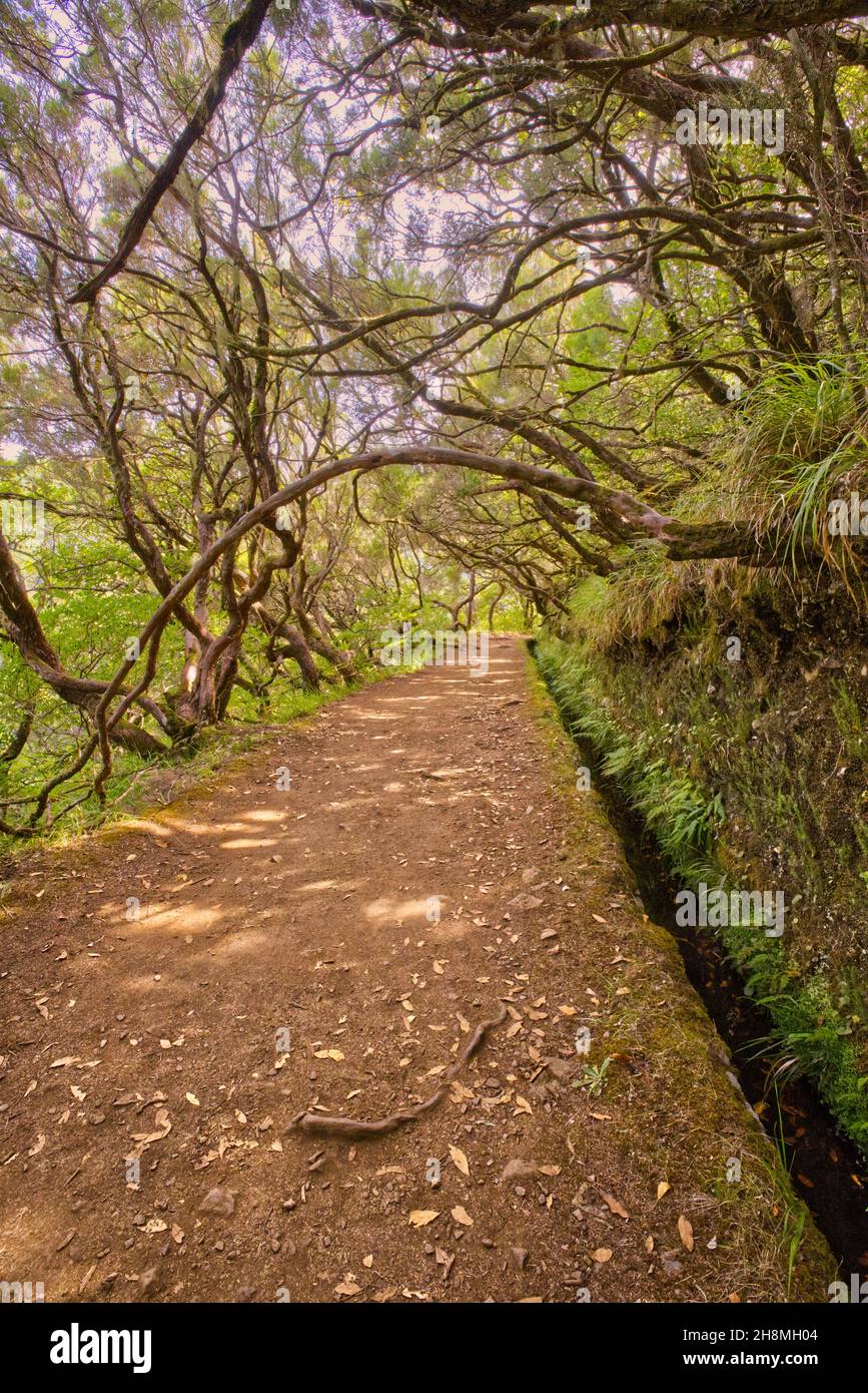 Nice treking hi-res stock photography and images - Alamy