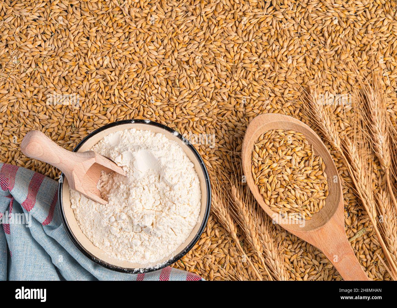 Flour and wheat spikelets on a wheat background. Top view, horizontal ...