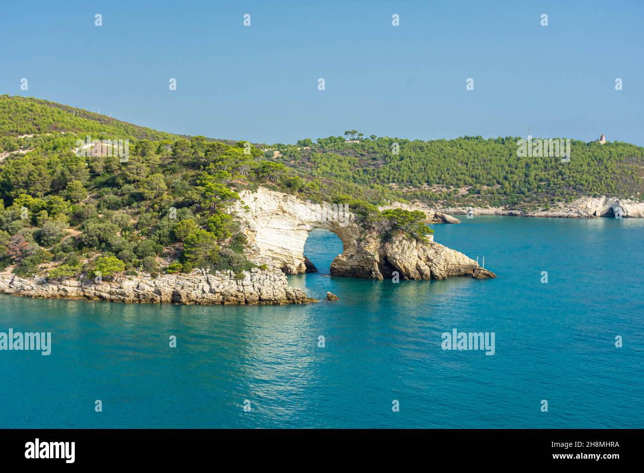 Parco nazionale del gargano hi-res stock photography and images - Alamy