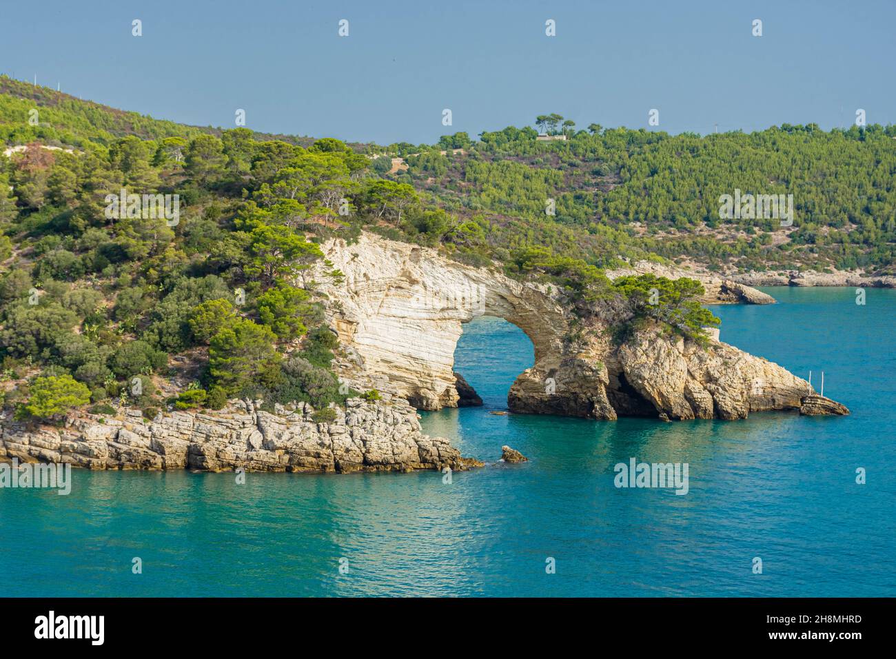 Parco nazionale del gargano hi-res stock photography and images - Alamy
