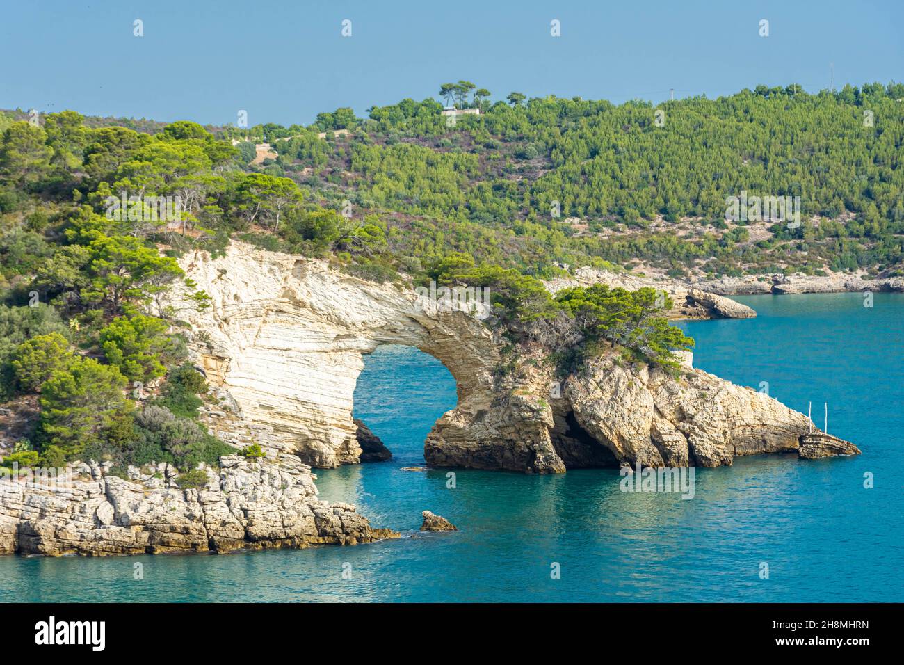 Natural rock arch on the sea in Gargano National Park, Apulia, Italy ...