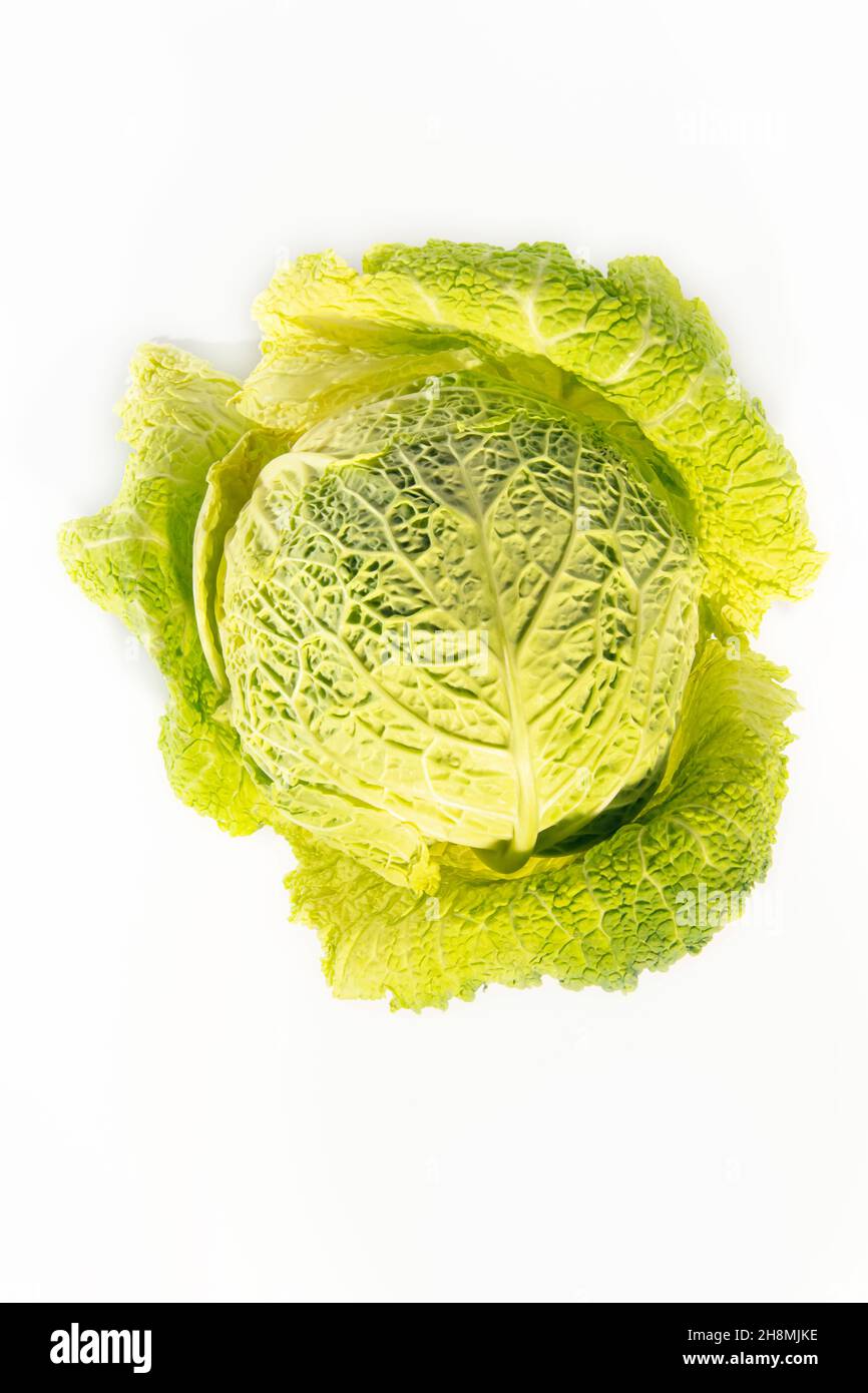 Savoy cabbage on a white background isolate. Top view. Vertical ...