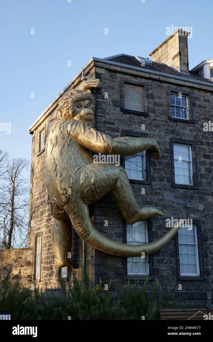 Royal Botanic Garden Edinburgh, Gold Monkey installation on Inverleith ...