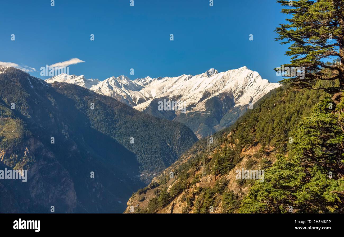 Scenic landscape at Kalpa hill station of Himachal Pradesh with forests ...