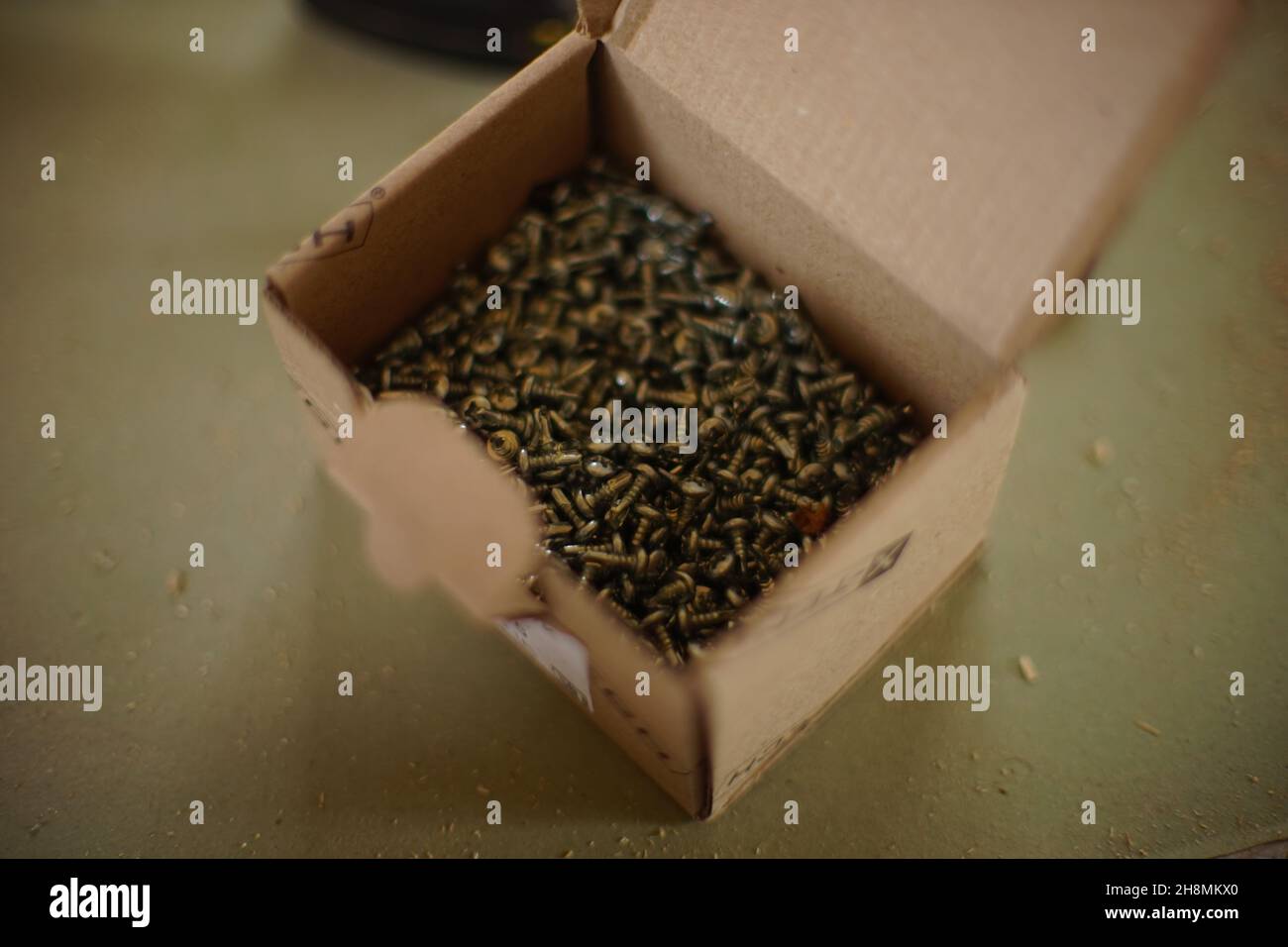 A bunch of new silver self-tapping screws in a cardboard box on a dusty ...