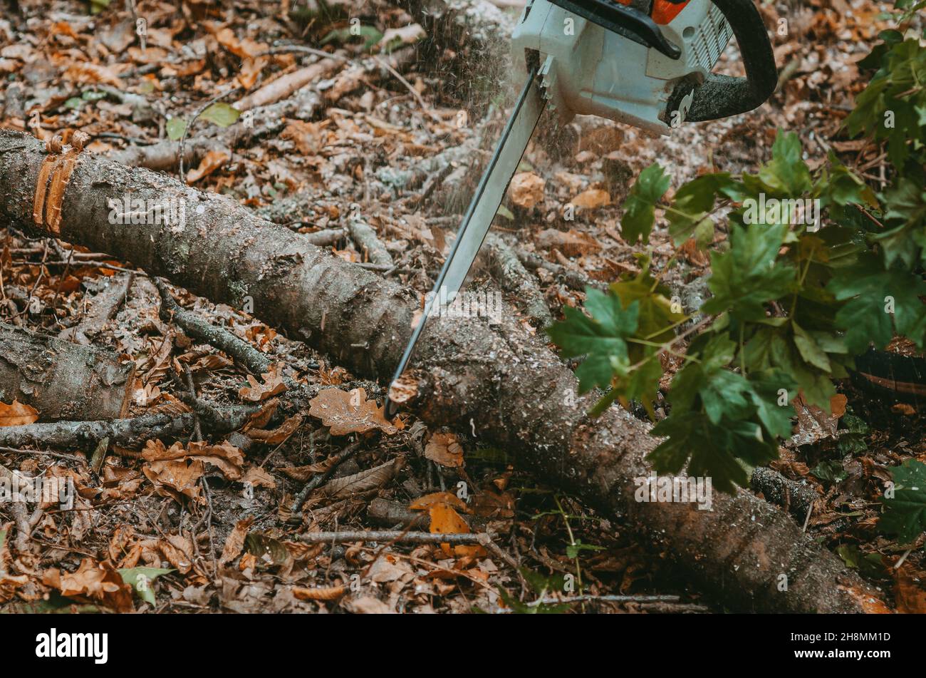 Saw dust falling hi-res stock photography and images - Alamy