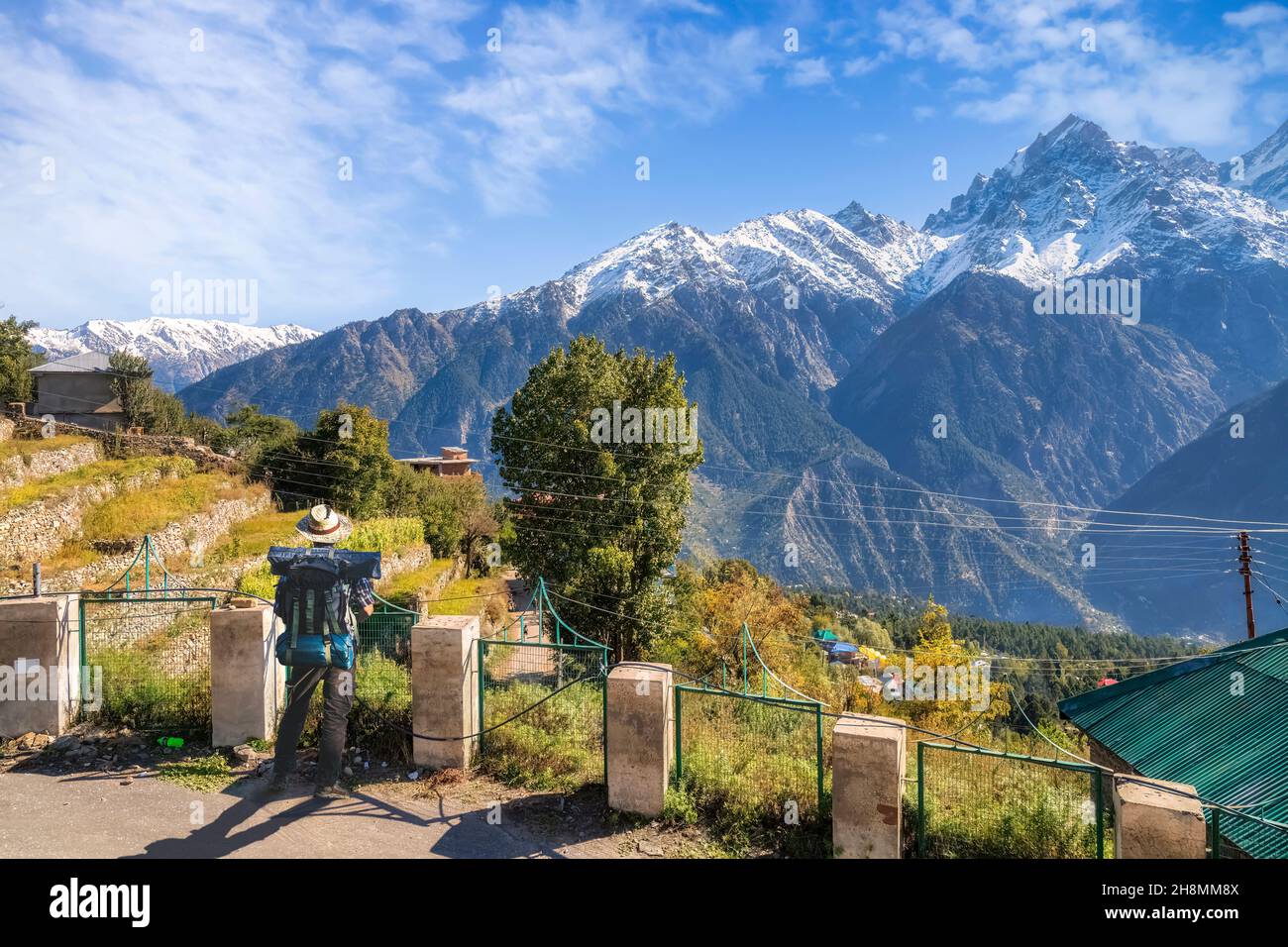 Scenic landscape at Kalpa hill station of Himachal Pradesh with dense ...