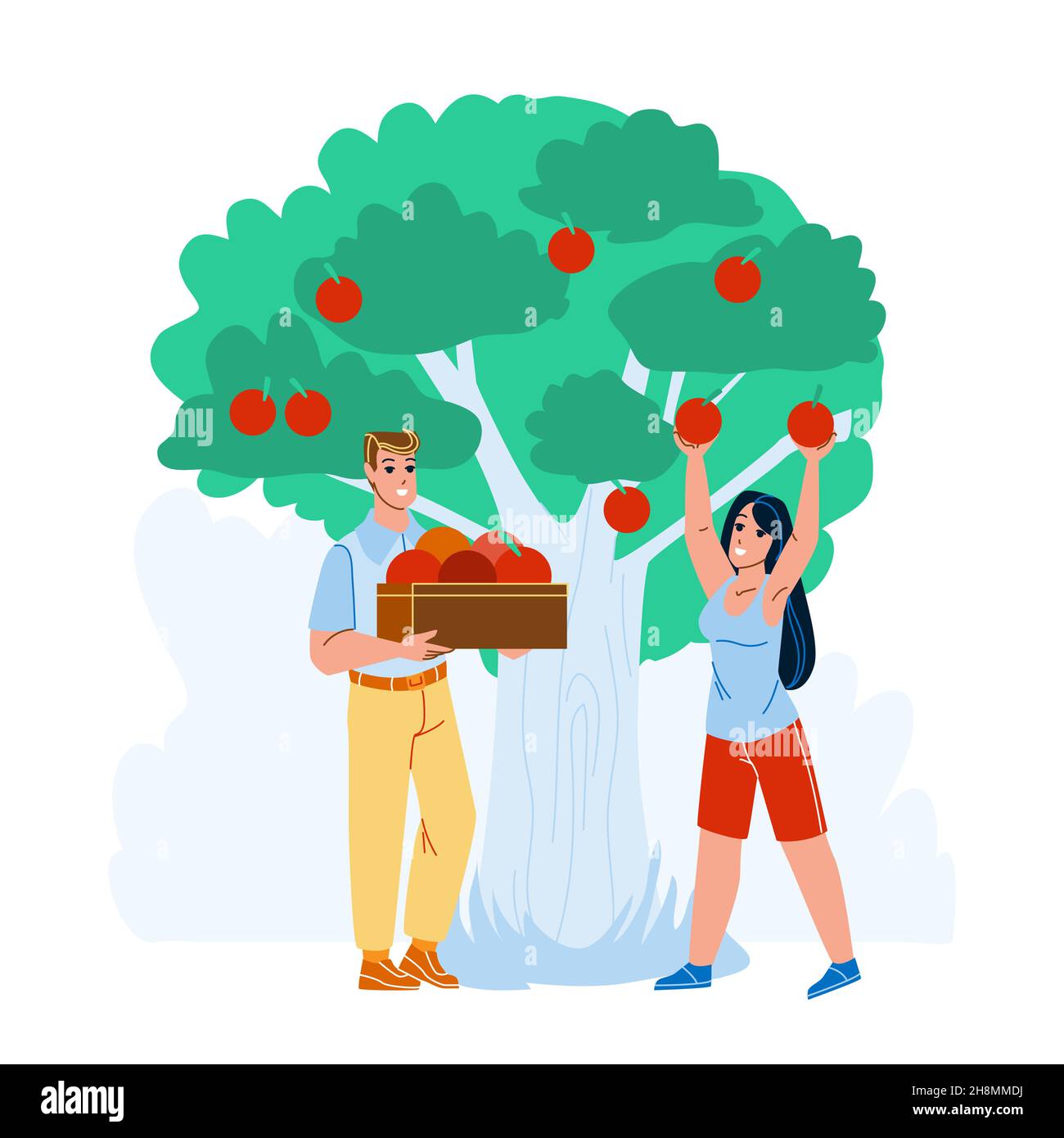 Apple tree growing orchard farm Cut Out Stock Images & Pictures - Alamy