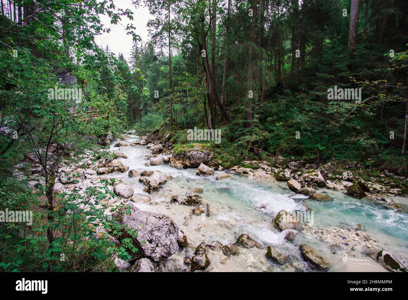 Fast-flowing river through the forest in Berchtesgaden town in Germany ...