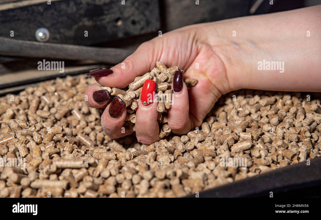 woman's hand touches the pellets in the stove compartment Stock Photo ...